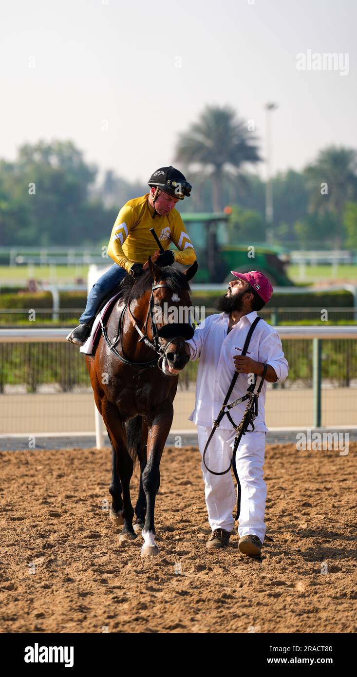 Horses in training at dirt track horseracing Stock Photo - Alamy