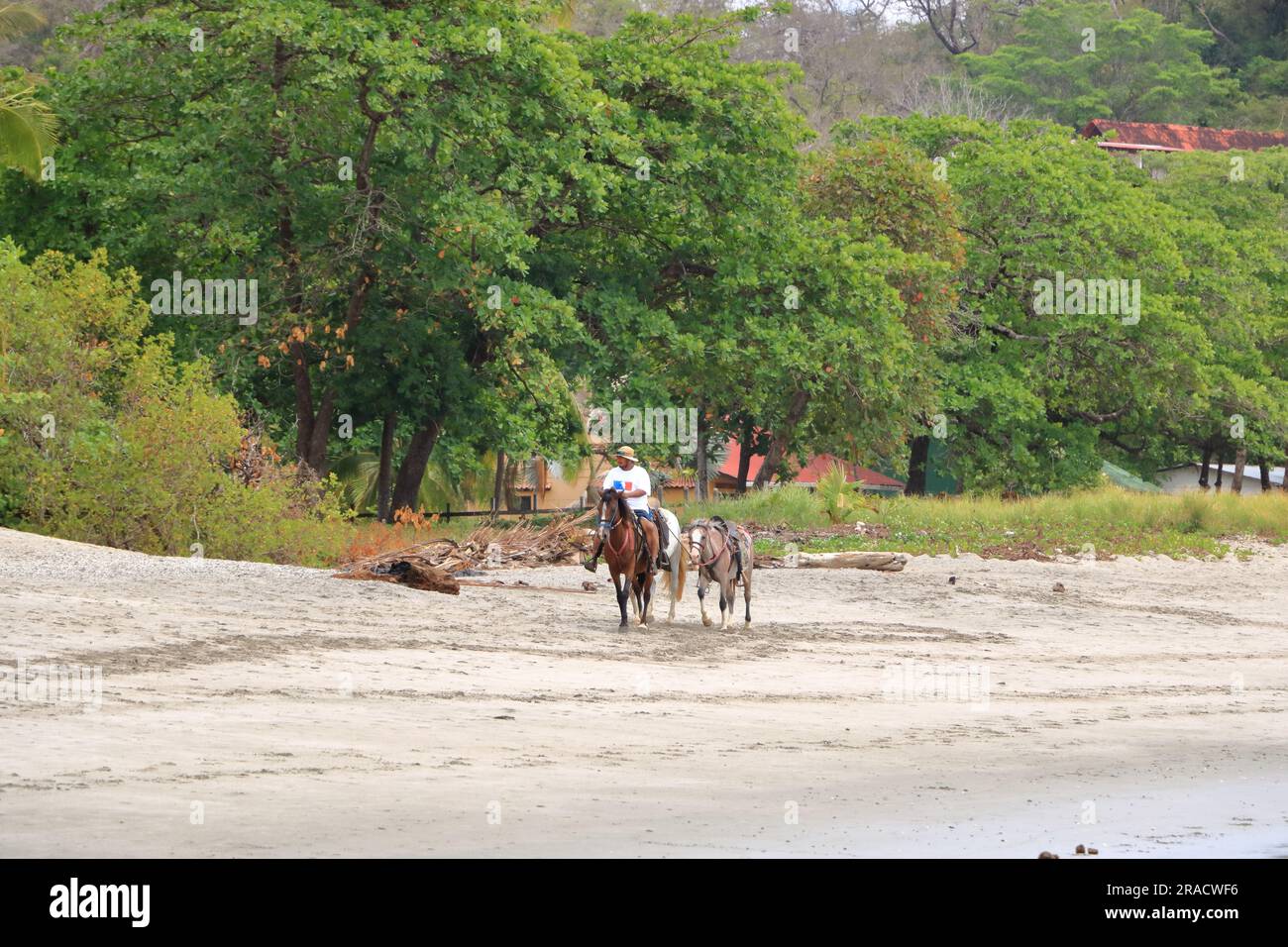 March 14 2023 - Samara, Guanacaste in Costa Rica: Horseback Riding in ...