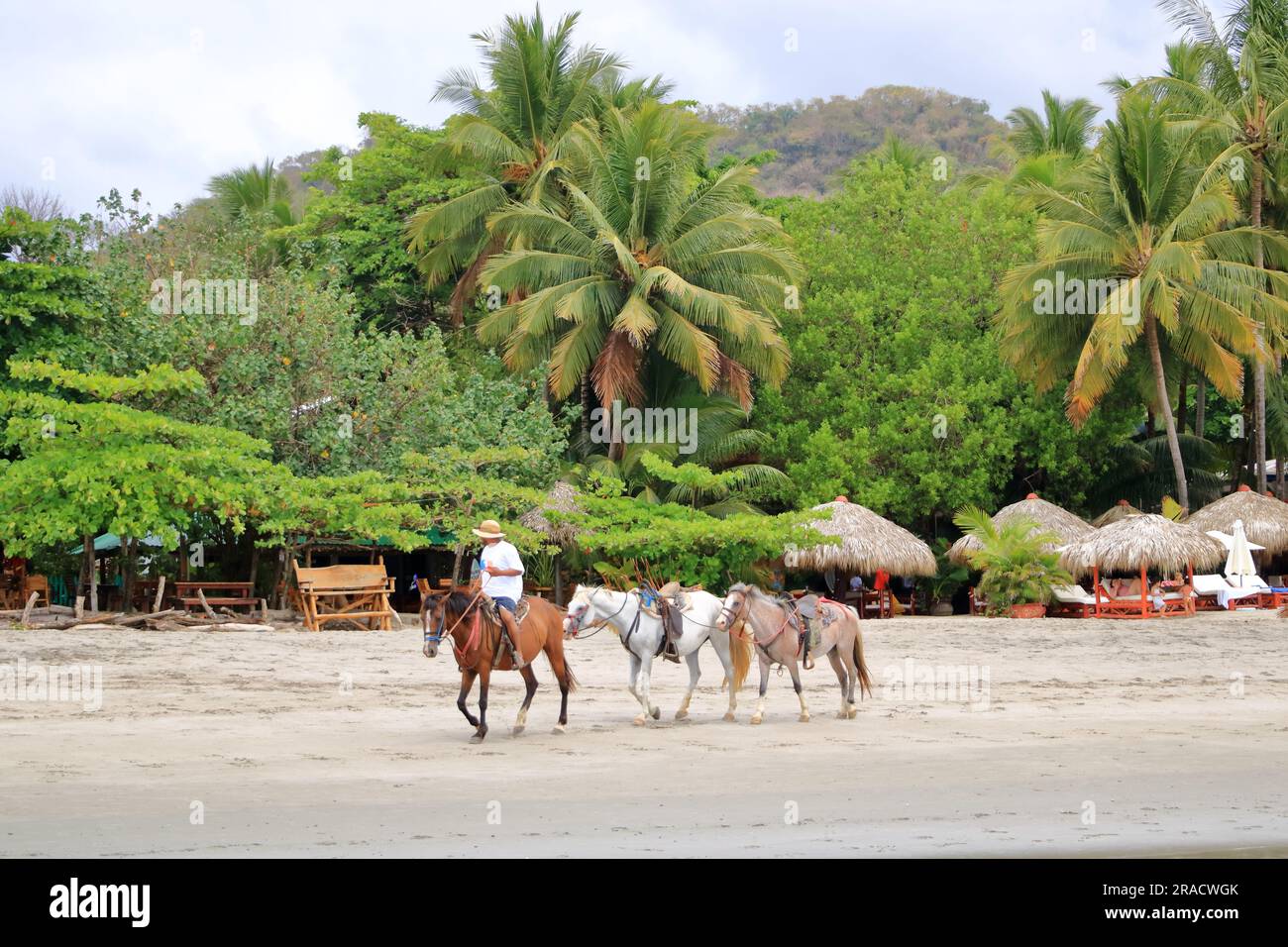 March 14 2023 - Samara, Guanacaste in Costa Rica: Horseback Riding in ...