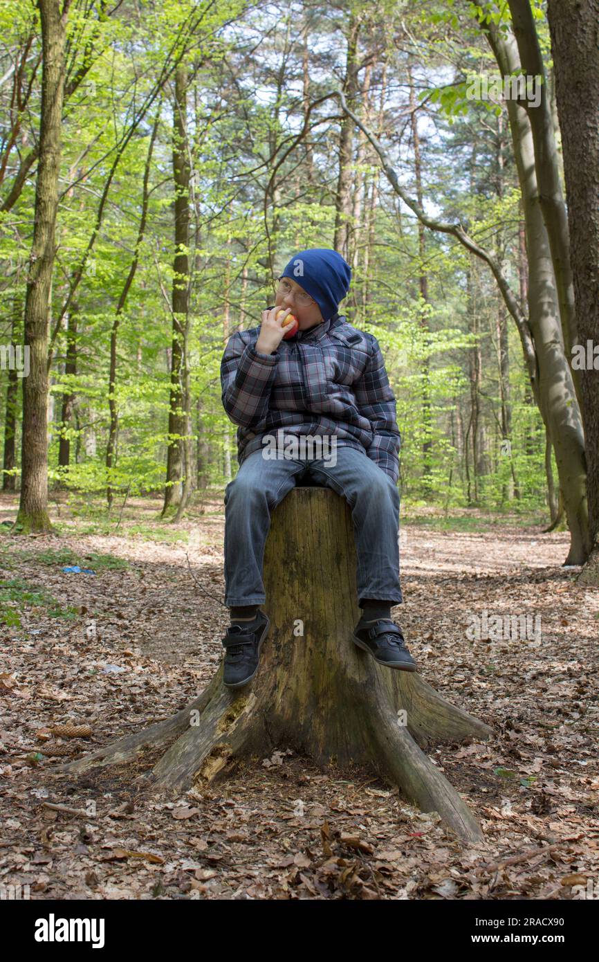 boy in the forest eats an apple sitting on a tree Stock Photo - Alamy