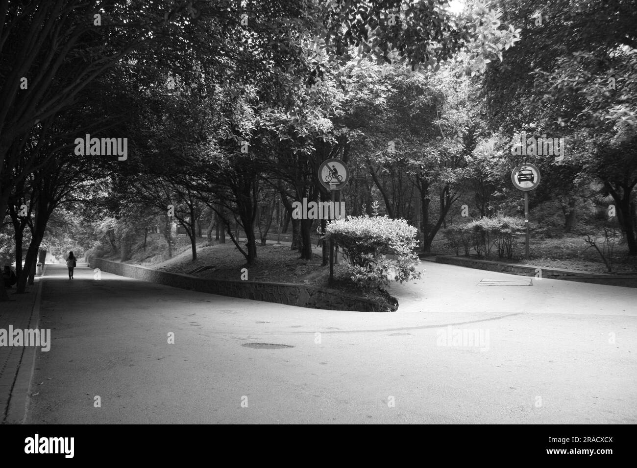 Wuhan university Black and White Stock Photos & Images - Alamy