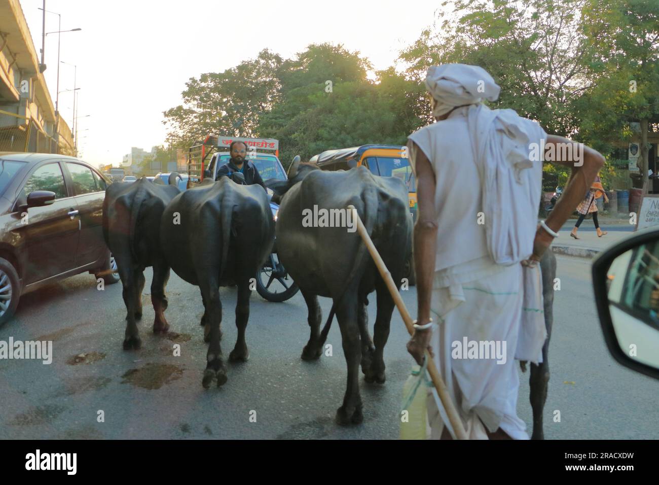 Gujarat colorful buildings hi-res stock photography and images - Alamy