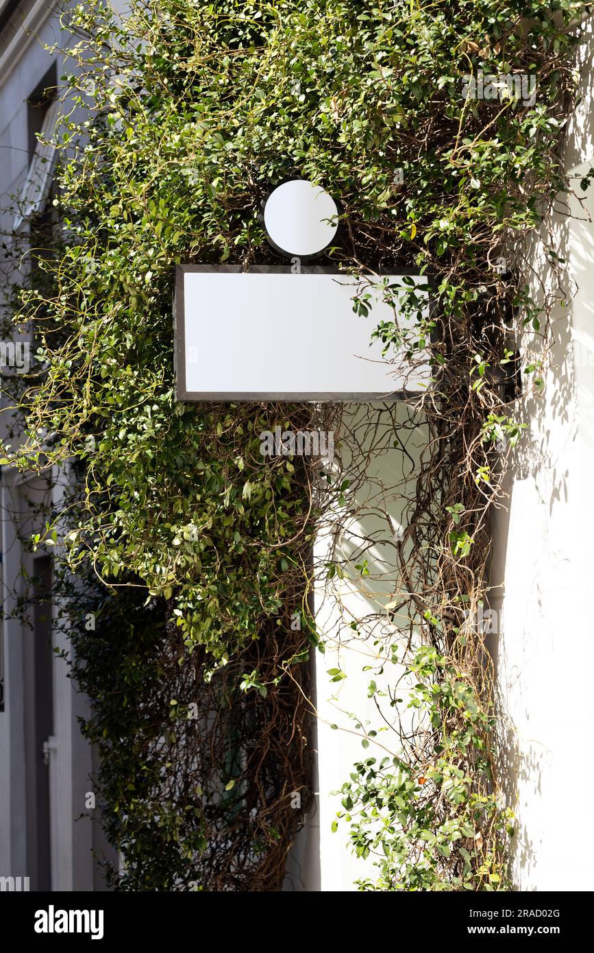 Blank signs fixed to building wall with copy space Stock Photo - Alamy