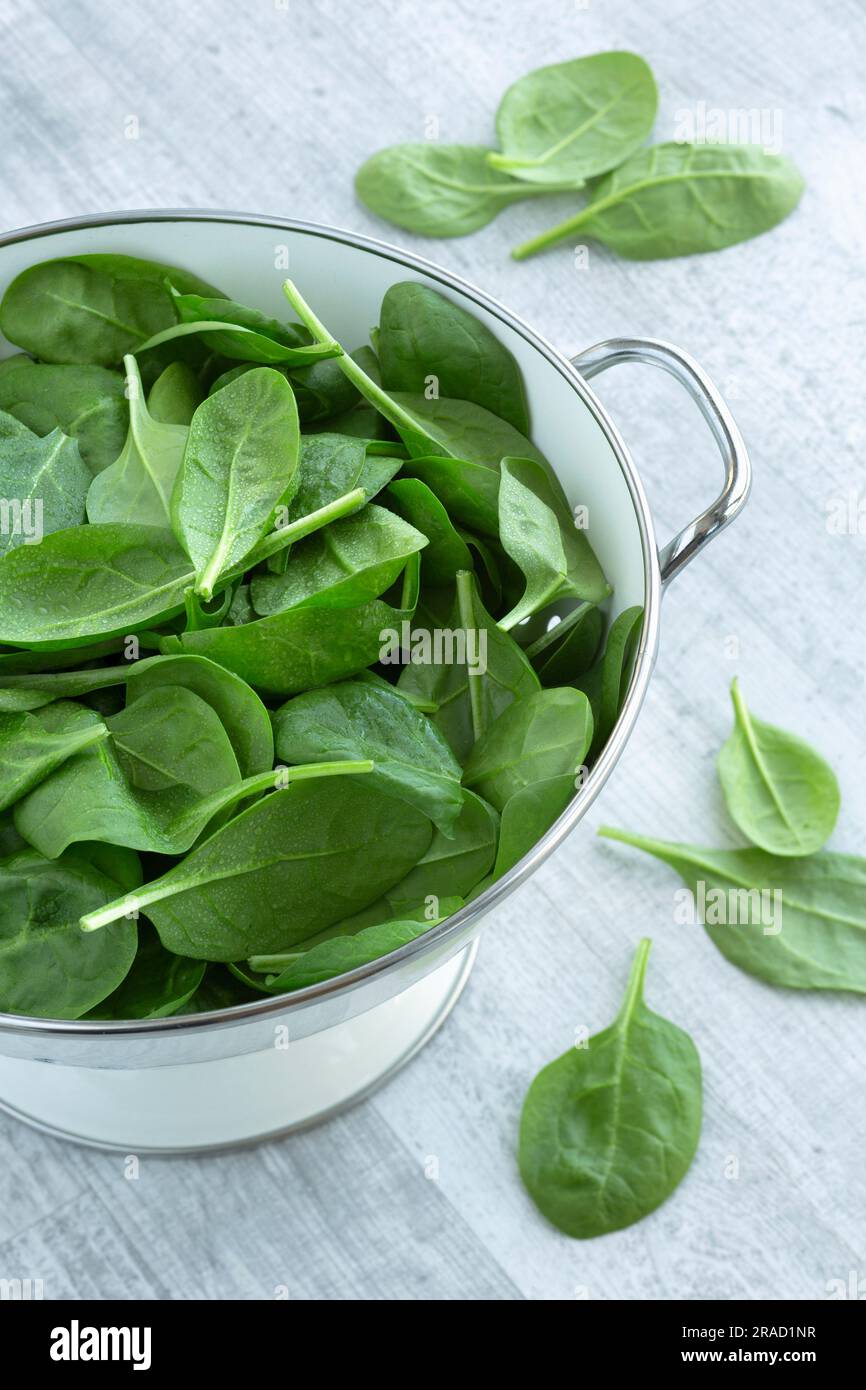 Washed spinach leaves hi-res stock photography and images - Alamy