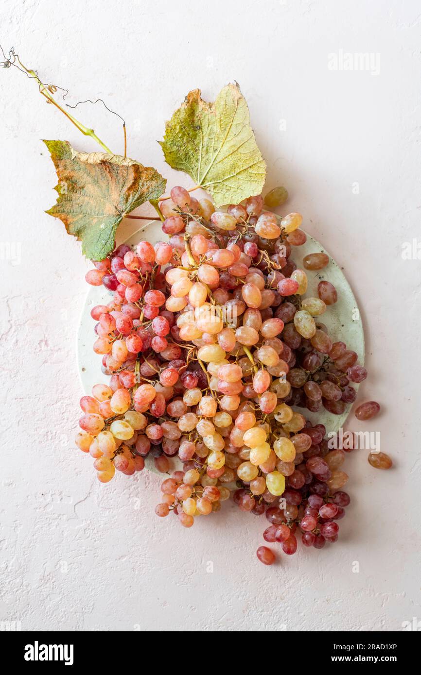 Grapes outline hi-res stock photography and images - Alamy