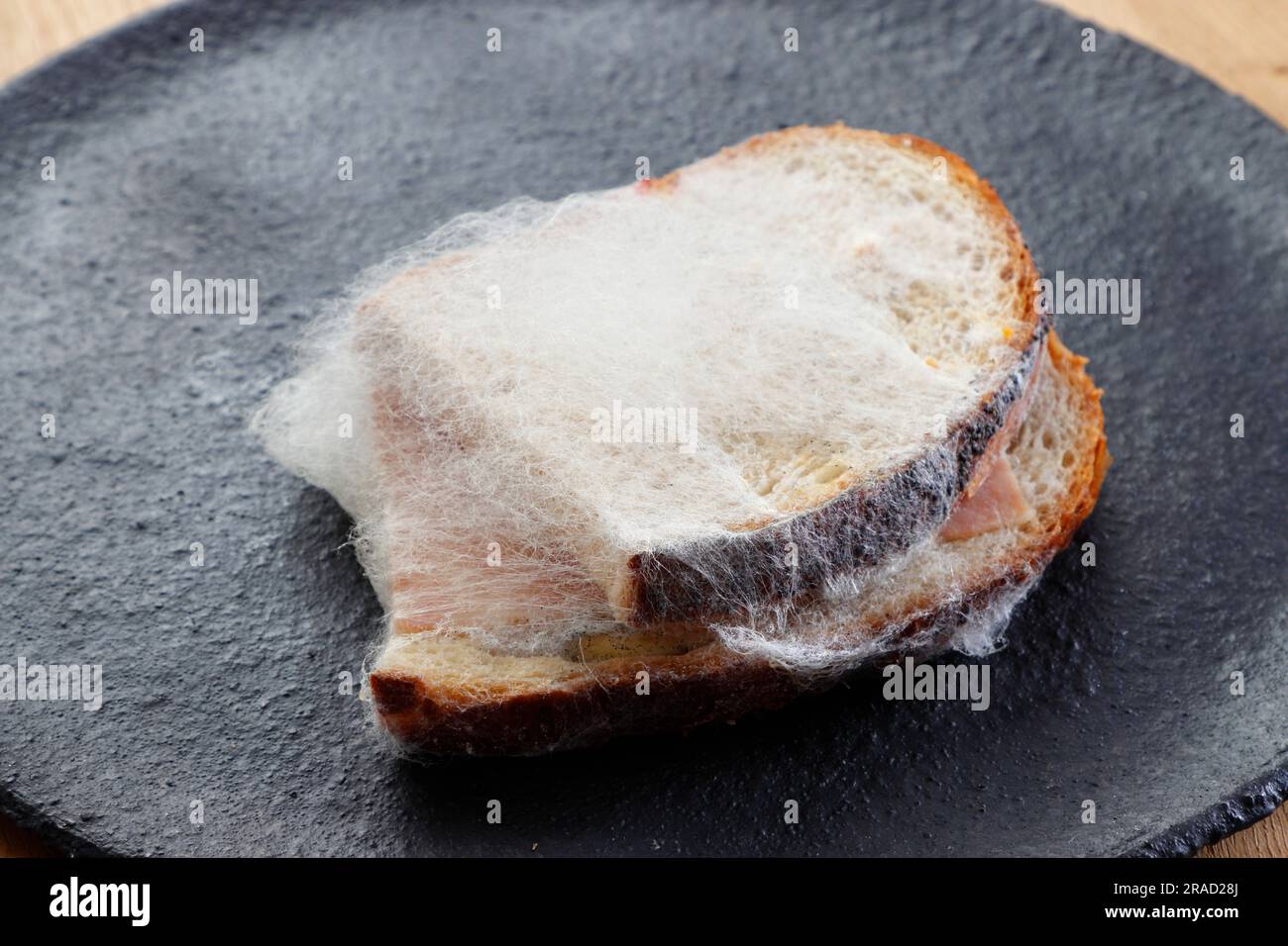 Moldy sandwich hi-res stock photography and images - Alamy