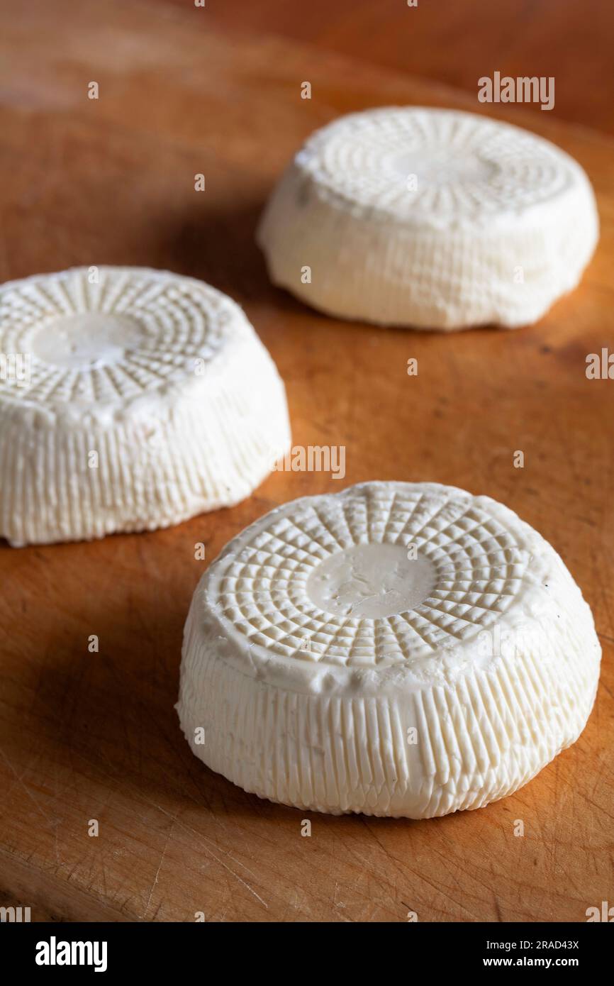 Round white cream cheese Stock Photo - Alamy