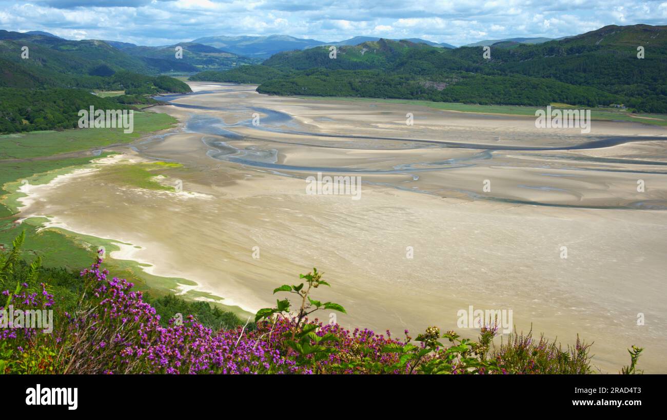 The Mawddach Estuary, Eryri National Park Stock Photo - Alamy