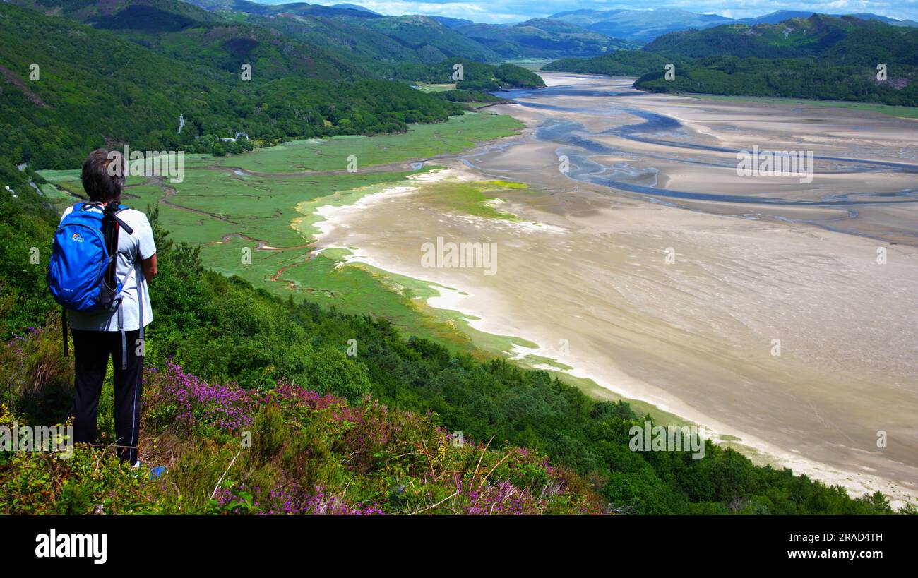The Mawddach Estuary, Eryri National Park Stock Photo - Alamy