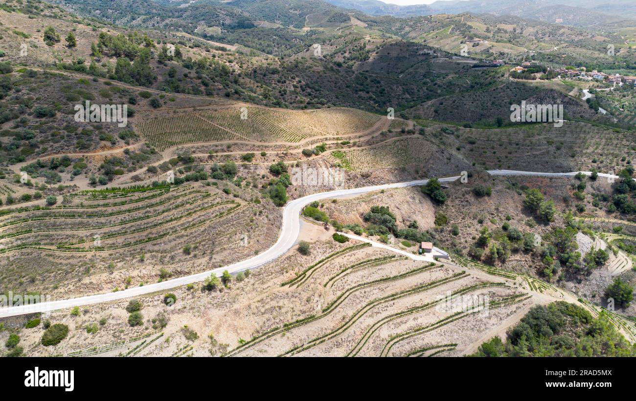 Aerial view of vineyards in the Priorat appellation of origin area in ...