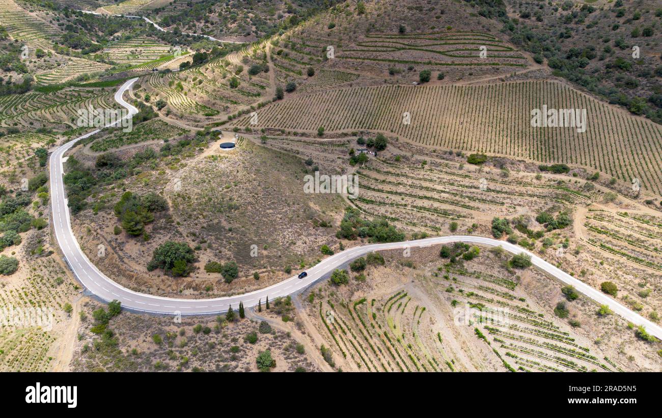 Aerial view of vineyards in the Priorat appellation of origin area in ...