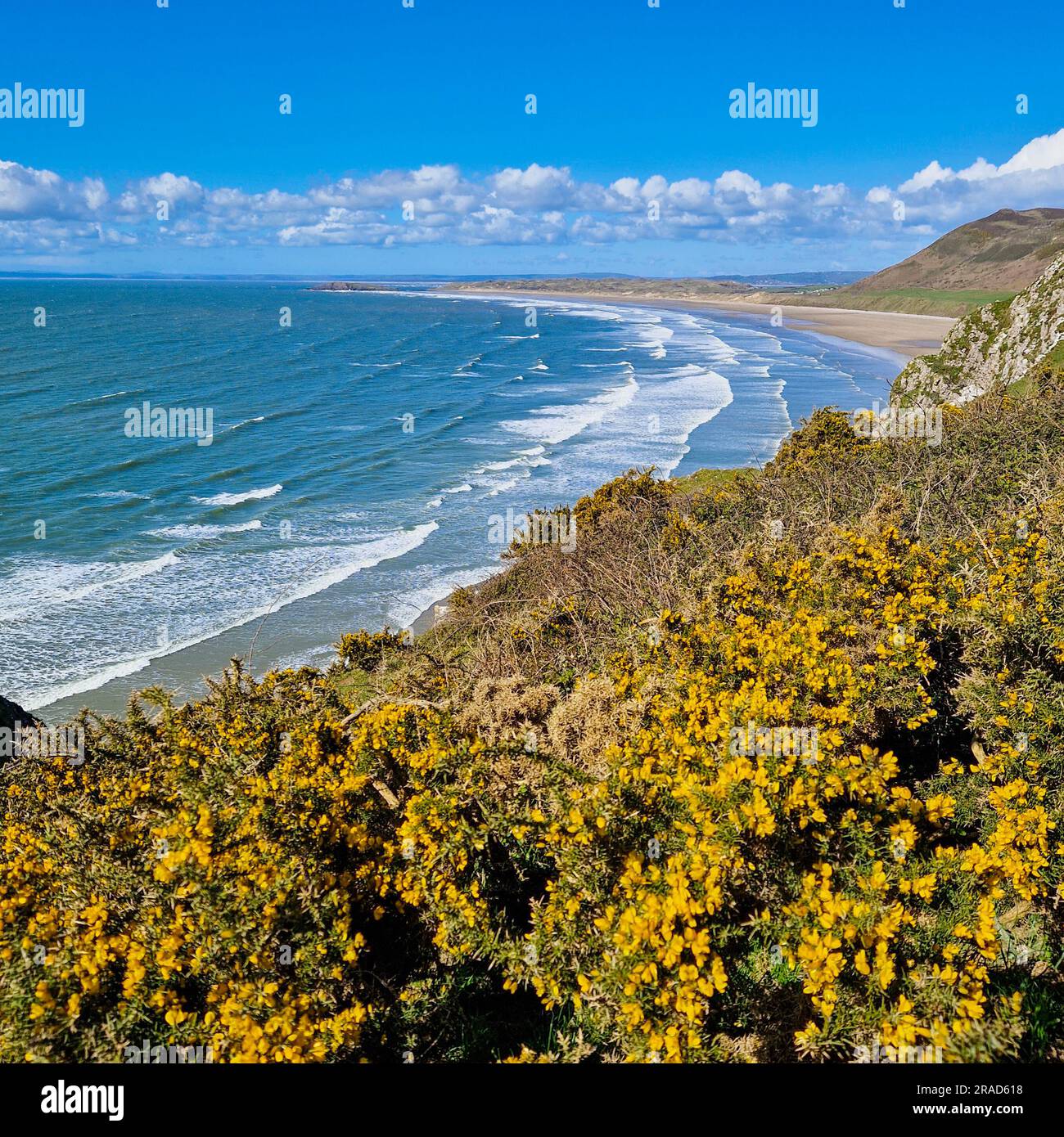 Welcome to the breathtaking Rhossili Bay Beach, a true gem nestled on ...