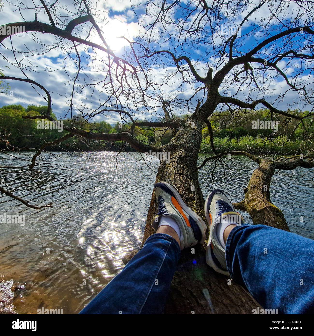 In the peaceful serenity of a picturesque lake, a man finds his perch ...