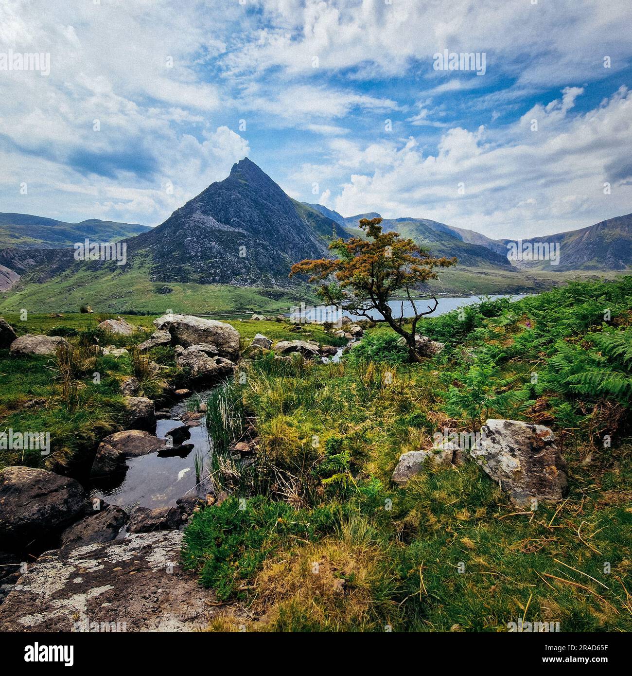 Rising proudly in the heart of Snowdonia National Park, Tryfan stands ...
