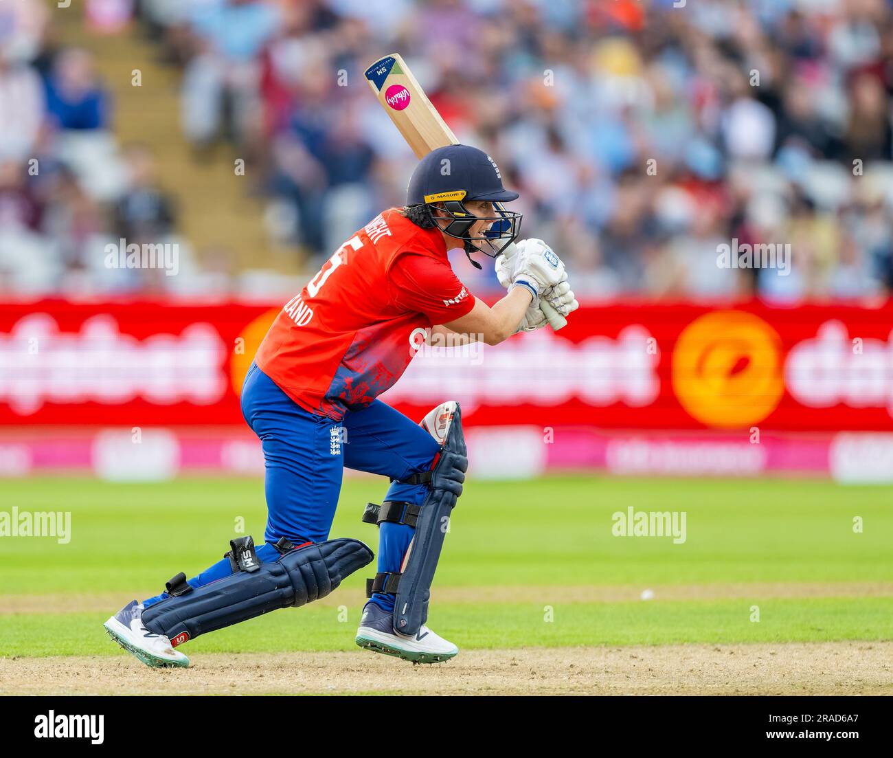 Sport knight cricket hi-res stock photography and images - Alamy