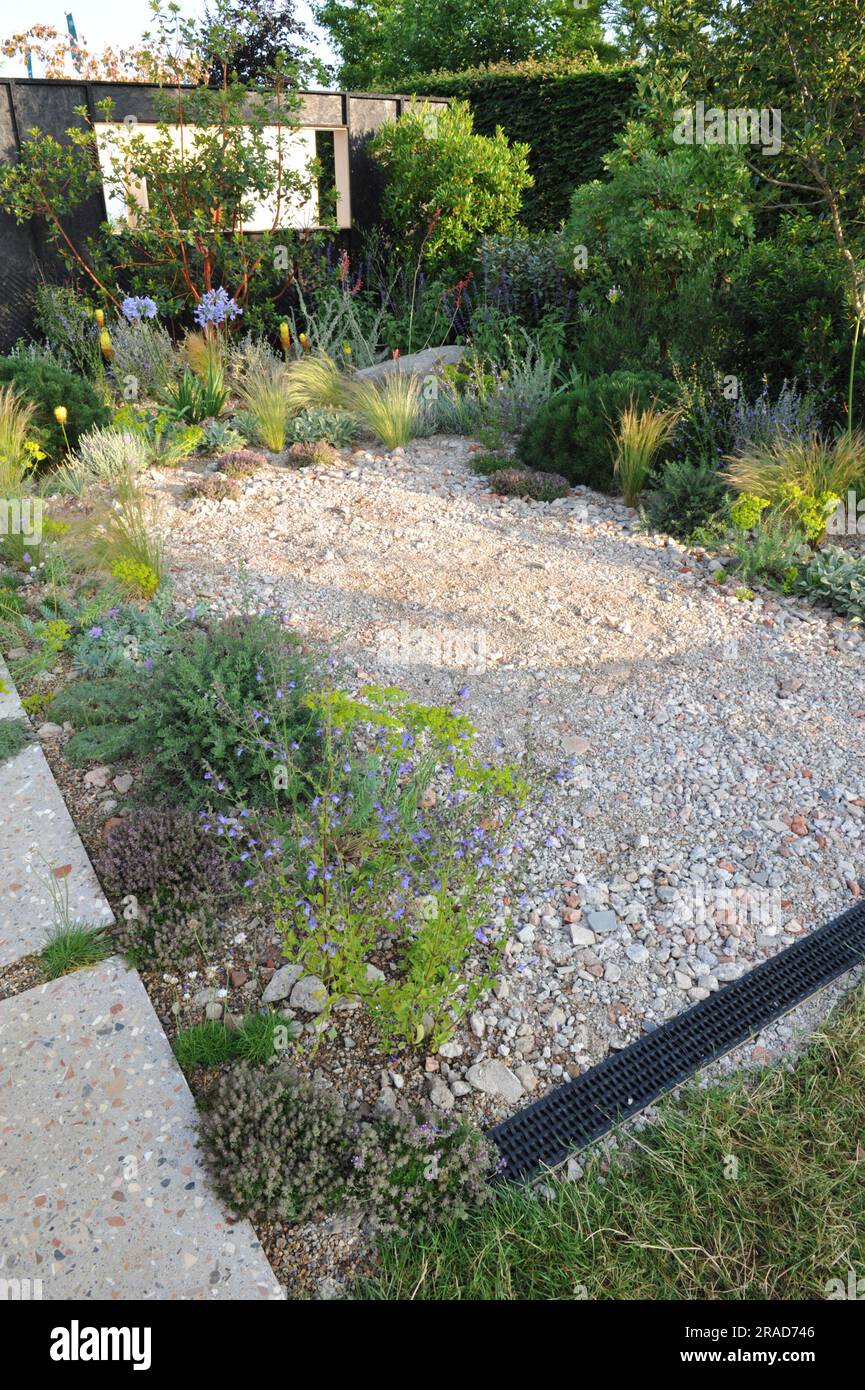 Opening day at the 2023 Royal Horticultural Society Hampton Court ...