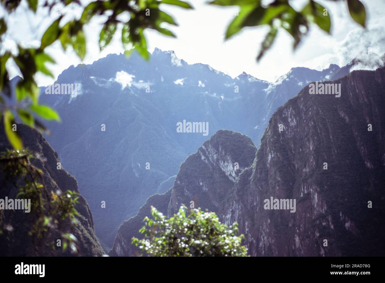 Amazon jungle hiking hi-res stock photography and images - Alamy