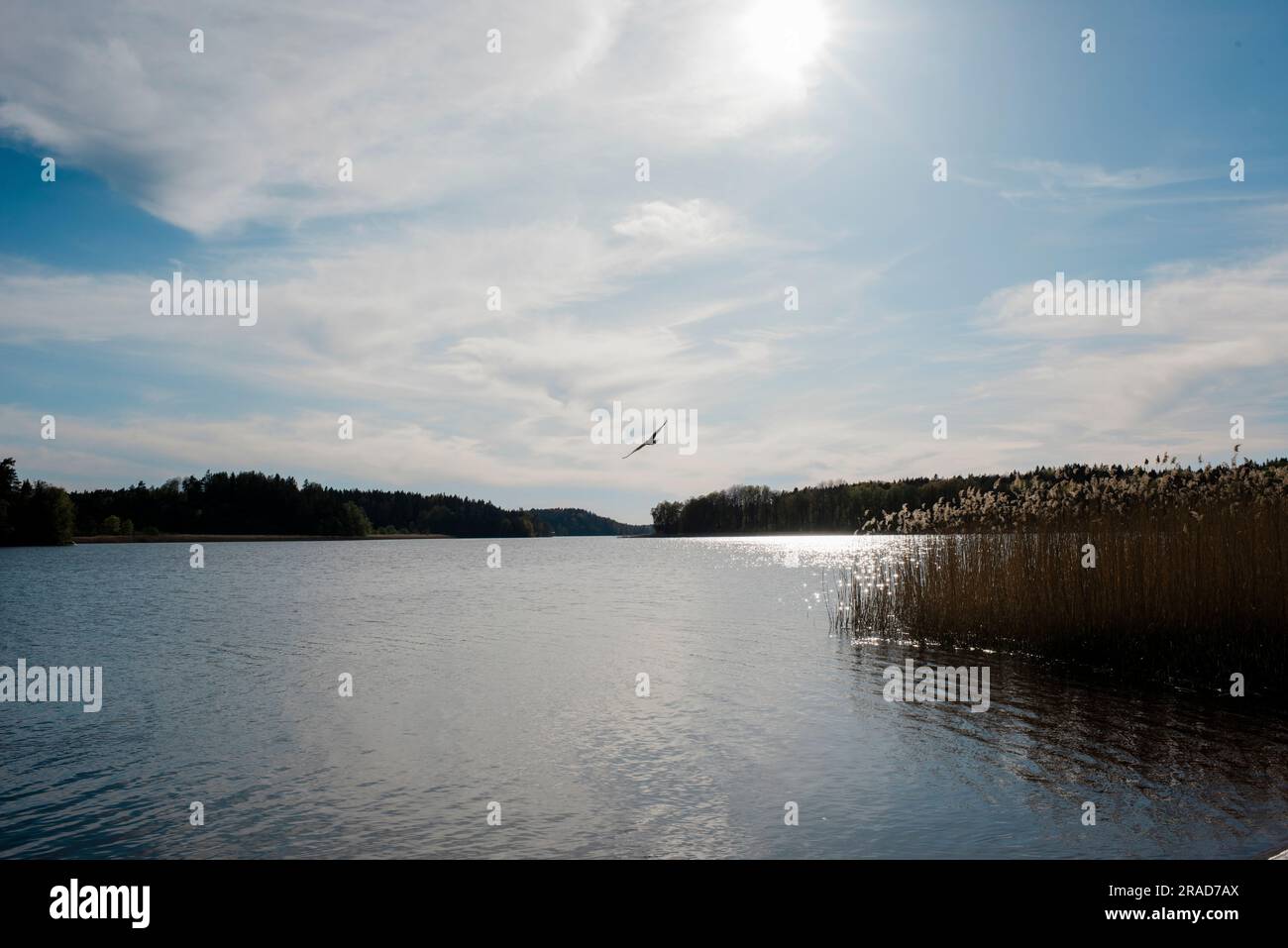 Sweden flying over calm lake hi-res stock photography and images - Alamy