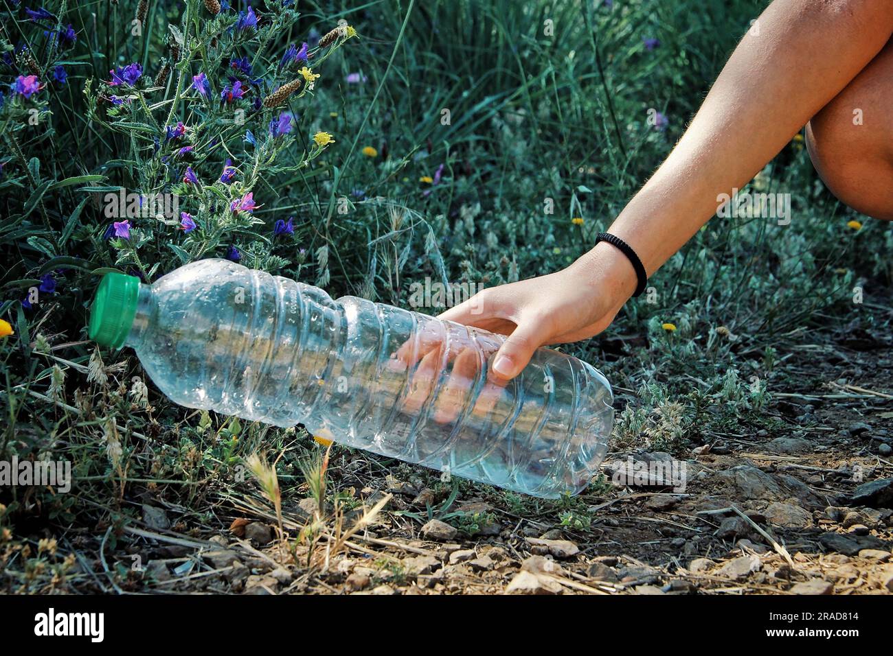Person picking up a plastic bottle in the woods Stock Photo - Alamy