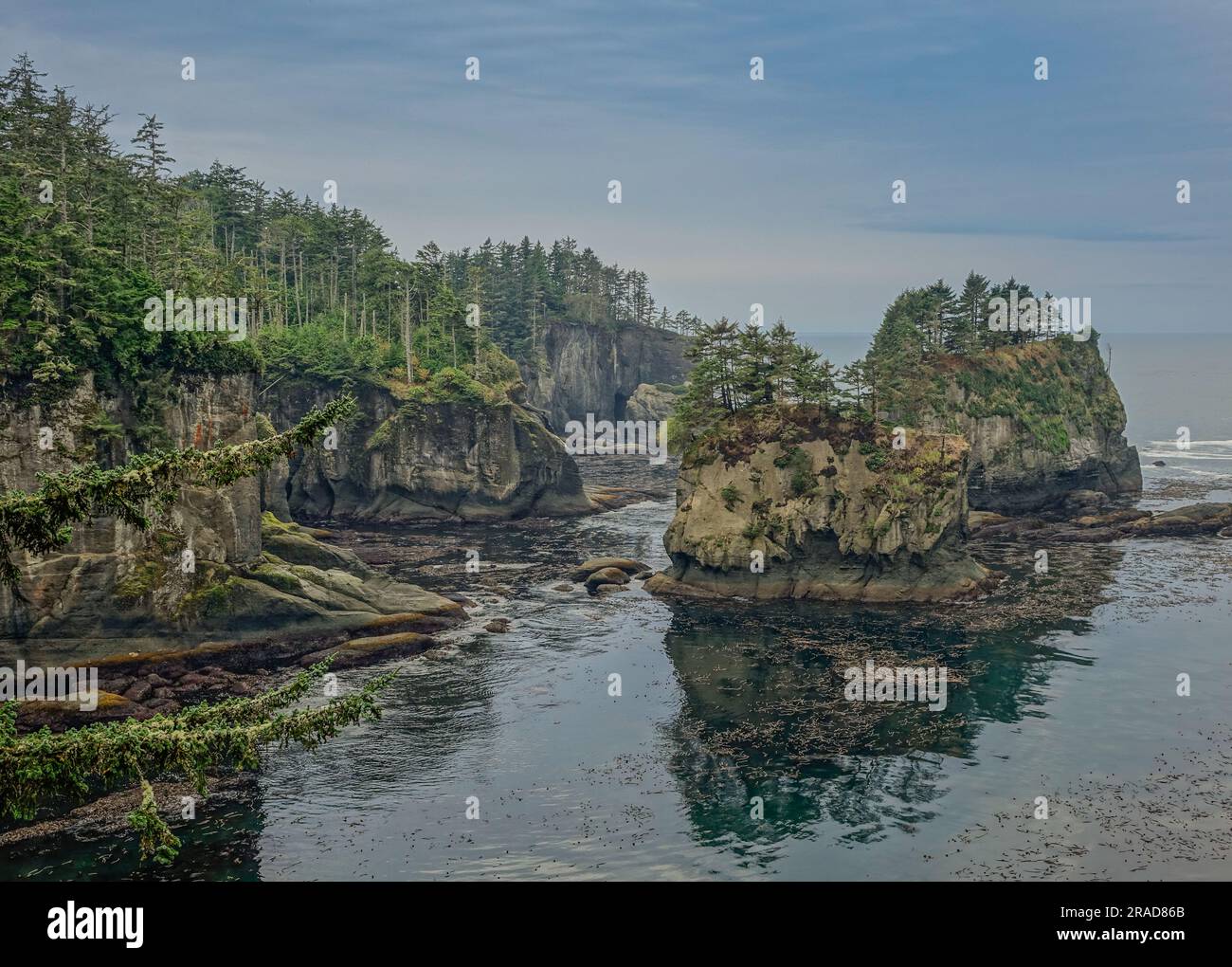 Flattery hi-res stock photography and images - Alamy