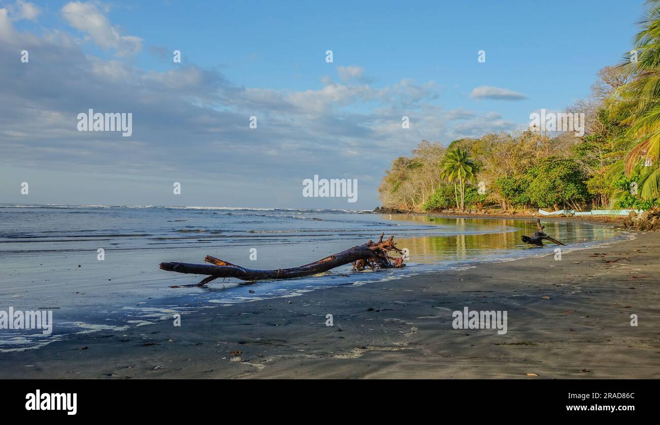 Santa Catalina beach Stock Photo - Alamy