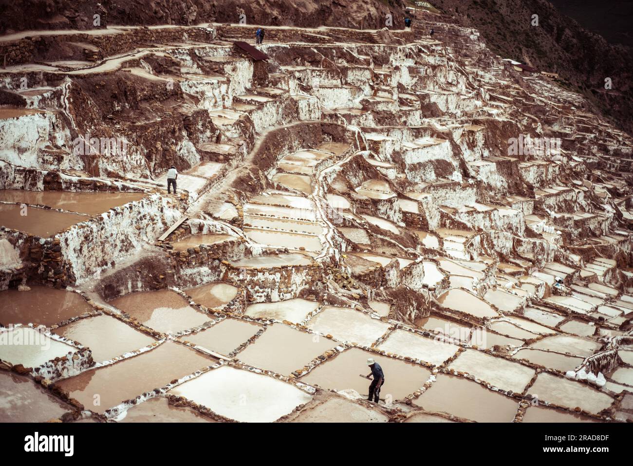 Men work in salt farms on mountain side in Maras Stock Photo - Alamy