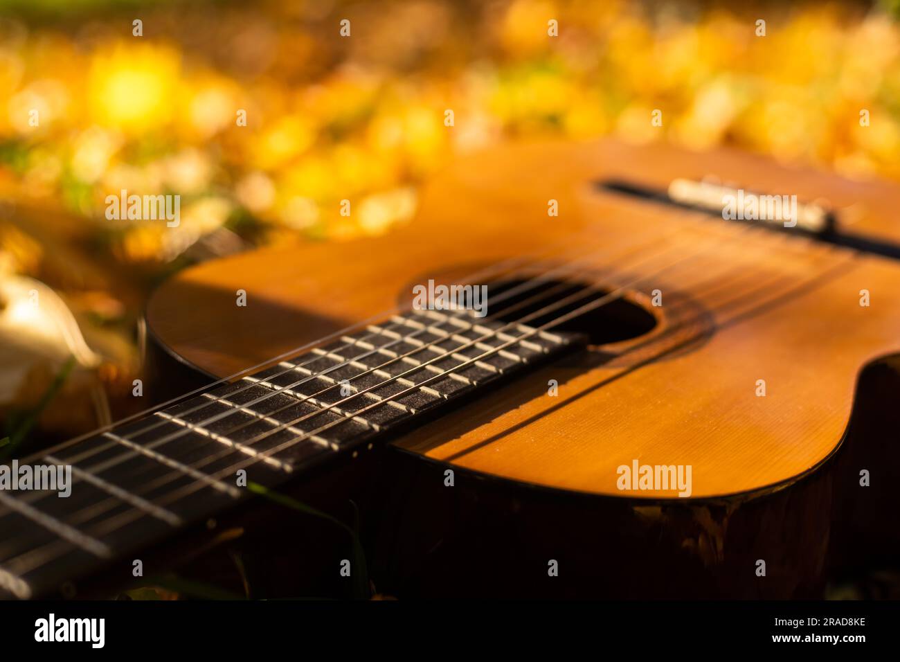 Guitar and autumn leaves background Stock Photo - Alamy