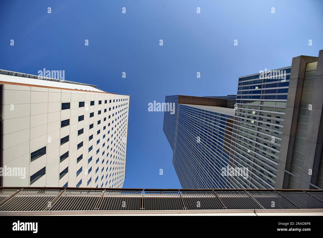 Modern architecture in the city centre of Rotterdam Stock Photo - Alamy