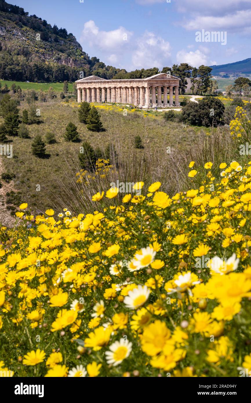 The ancient temple of Segeste in Sicily, Italy stands in the foreground ...