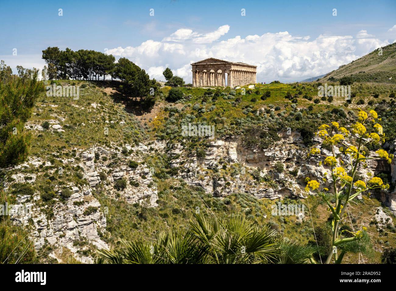 The ancient temple of Segeste in Sicily, Italy stands with its ...