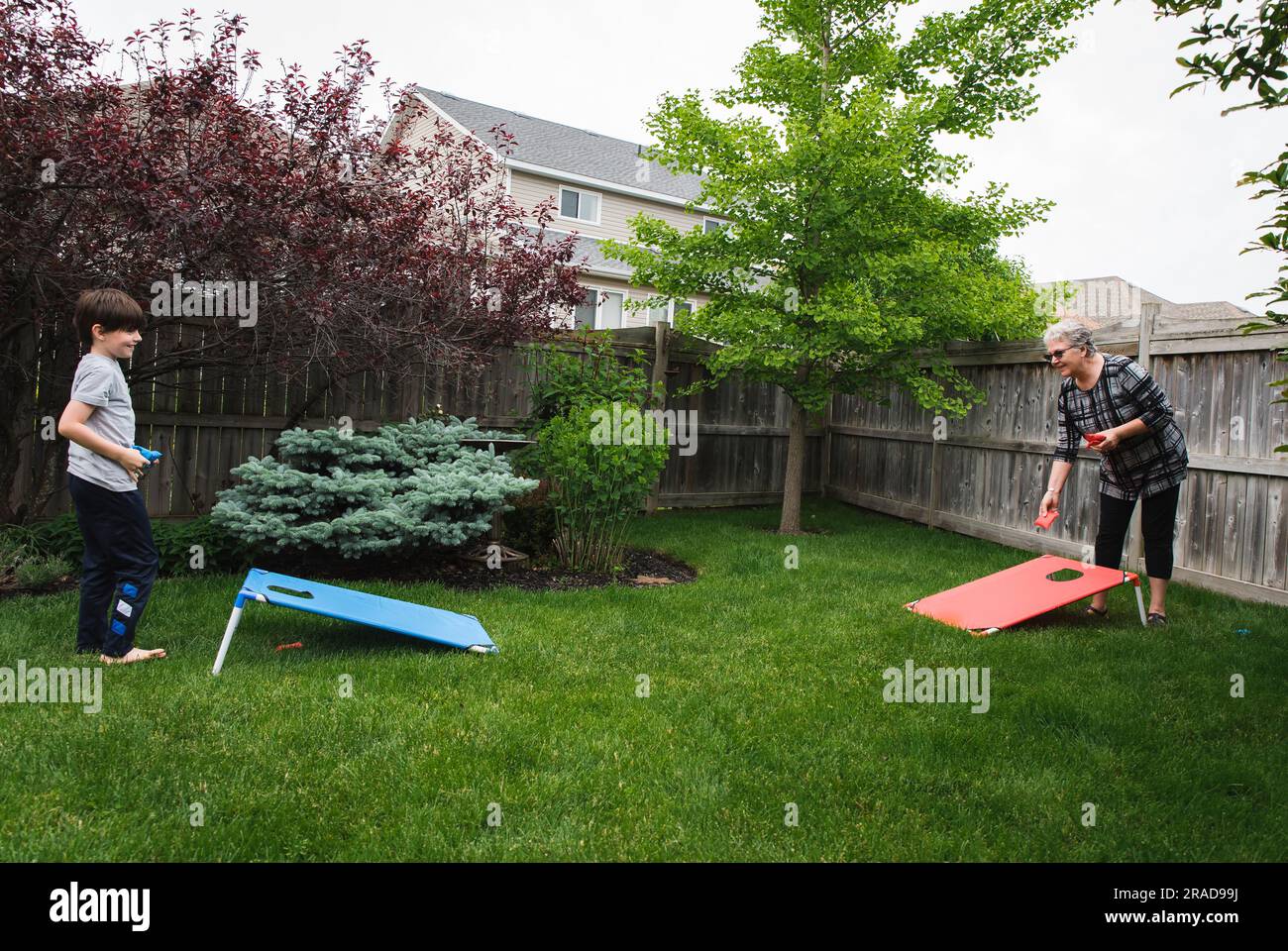 Grandmother playing corn hole game with grandson in the backyard Stock ...