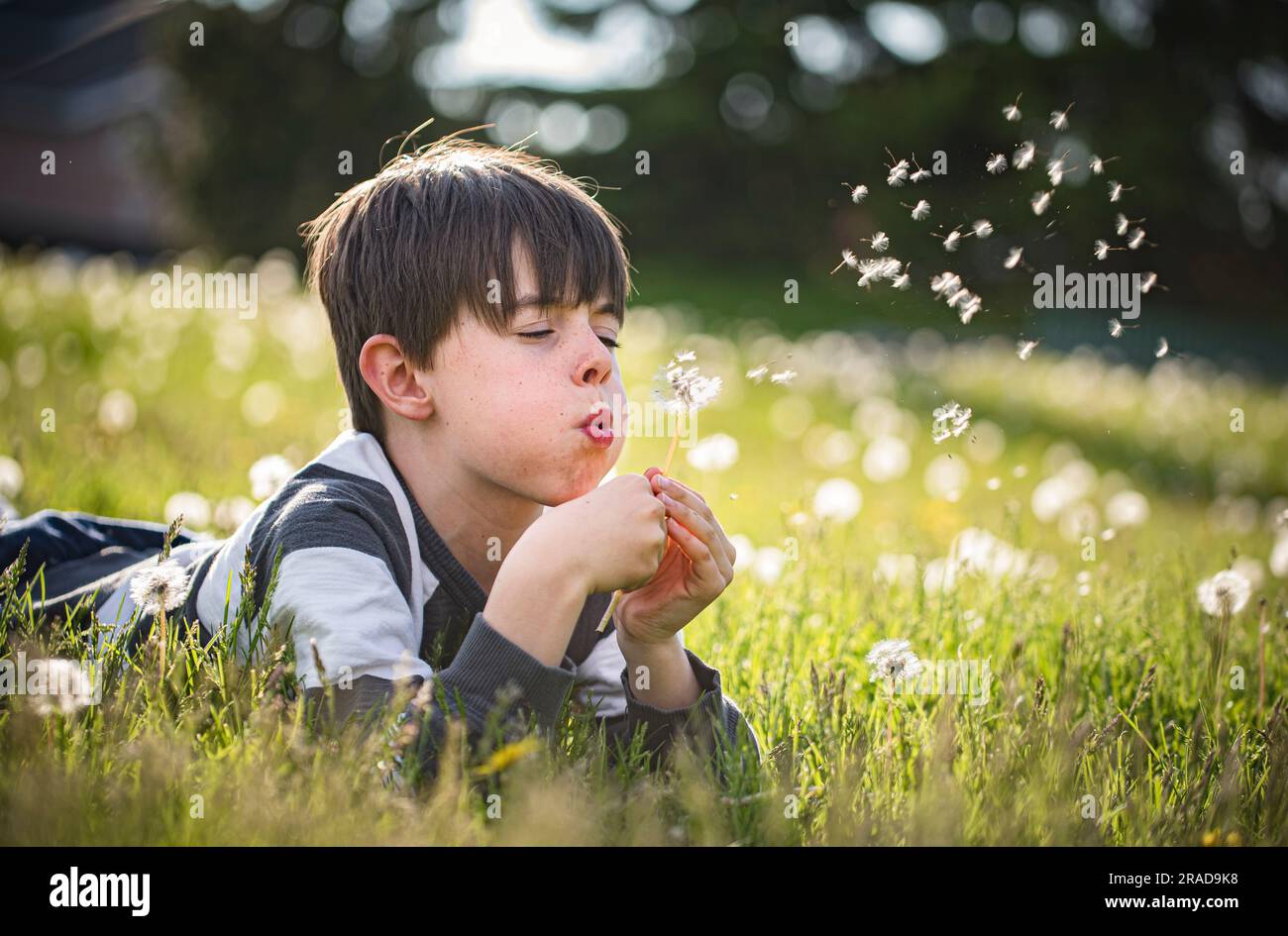 Young boy blowing seeds hi-res stock photography and images - Alamy