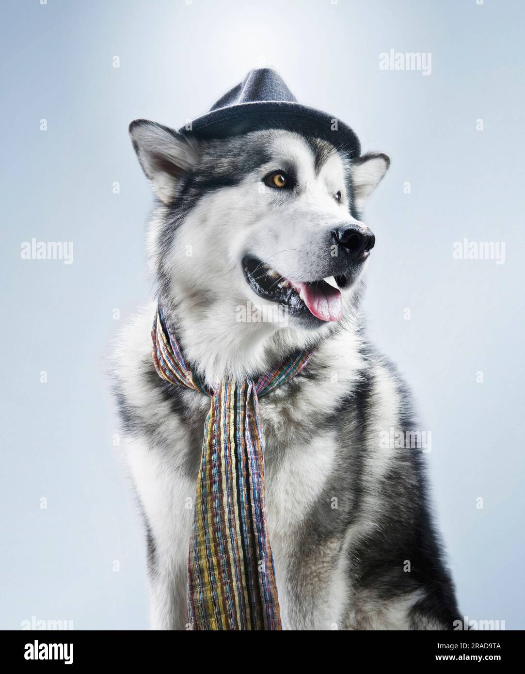 Human acting hi-res stock photography and images - Alamy