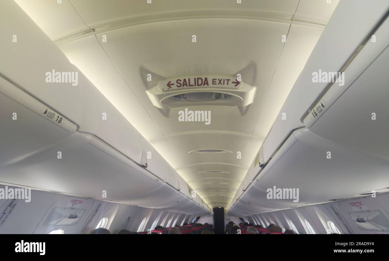 Emergency exit sign in aircraft cabin ceiling. Passenger jet airliner ...