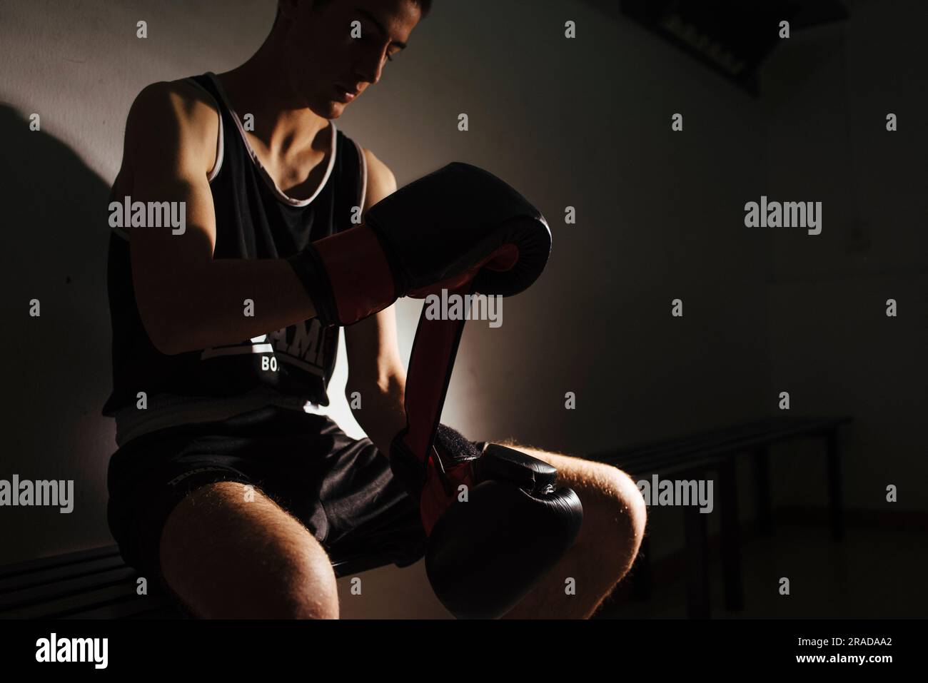 Young boxer adjusting gloves before training seated on bench Stock ...