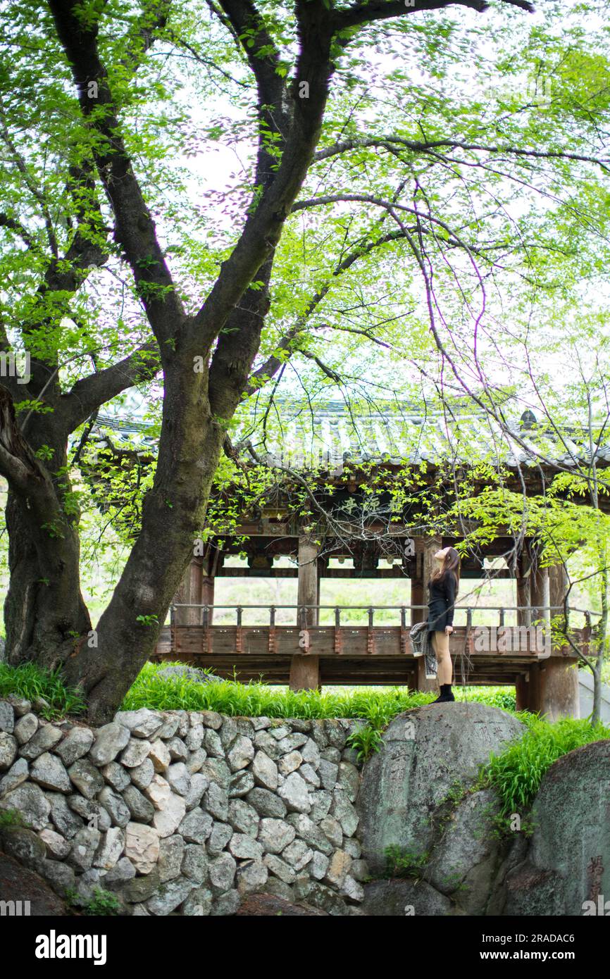 Spring feels hi-res stock photography and images - Alamy