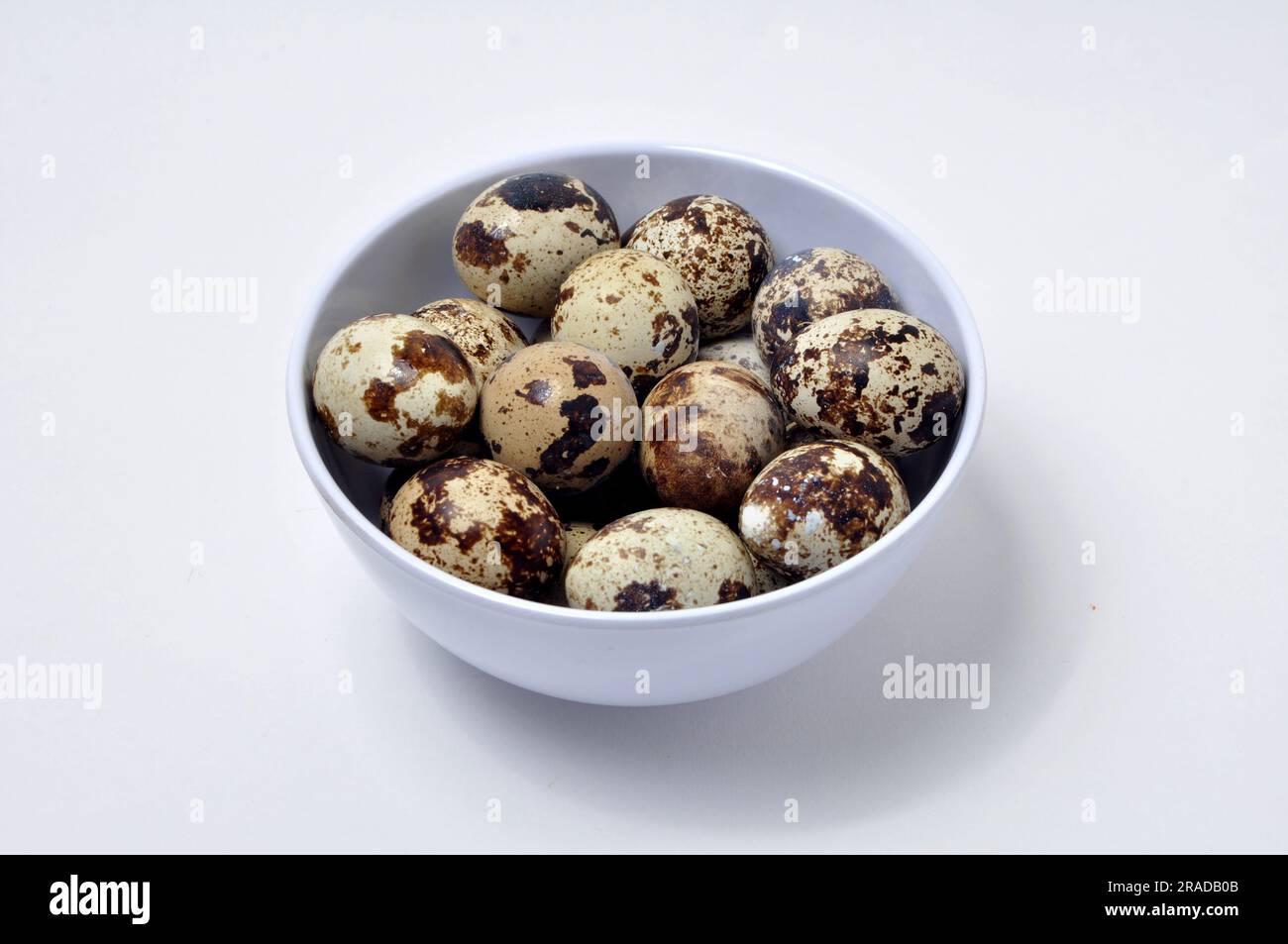 Qual eggs in white bowl selective focus white background Stock Photo ...