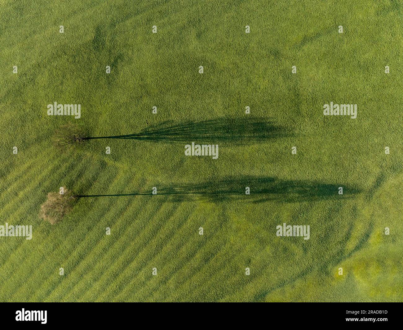 Cast shadows two people hi-res stock photography and images - Alamy