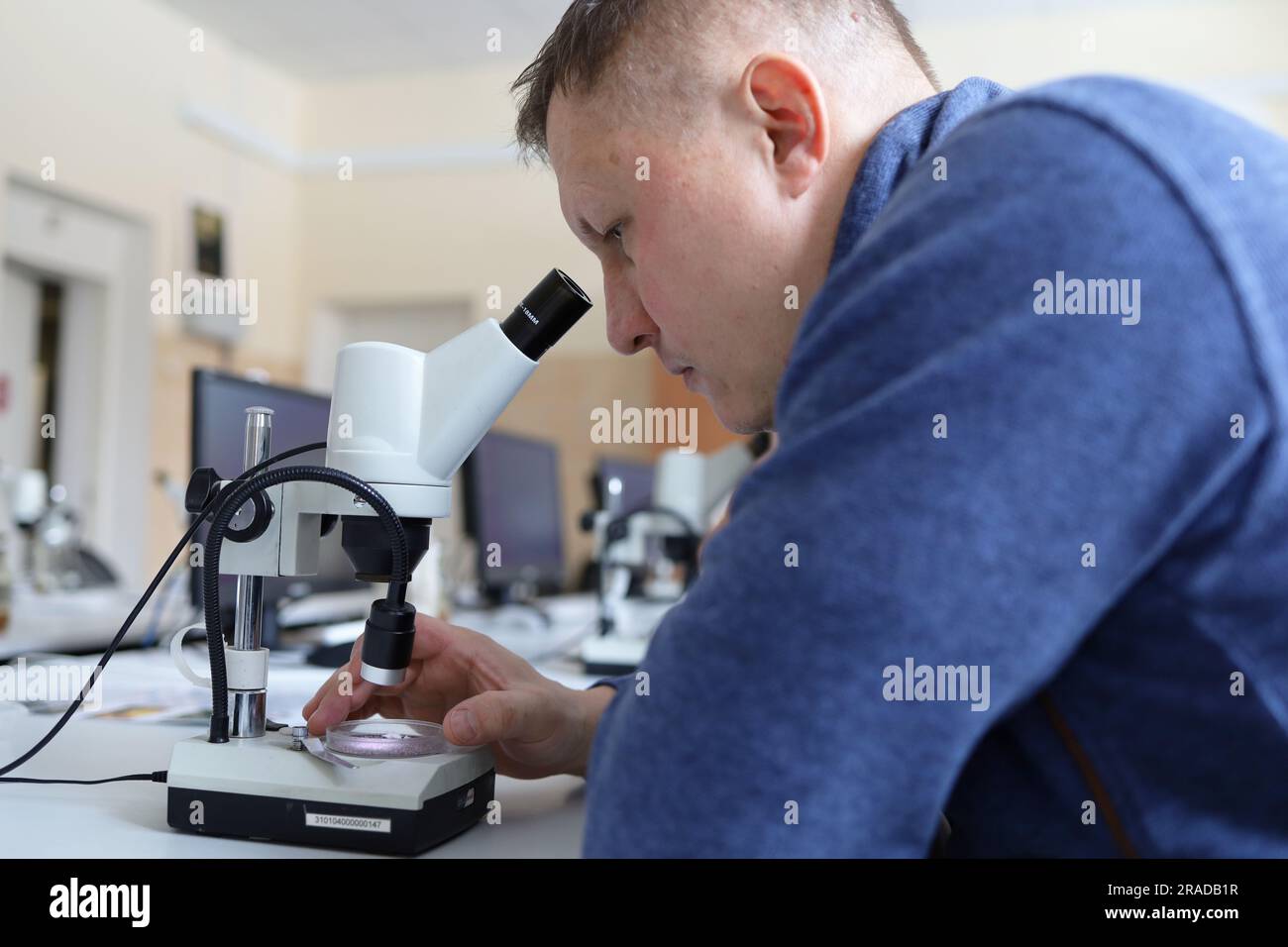 A man looks at microorganisms through a microscope Stock Photo - Alamy