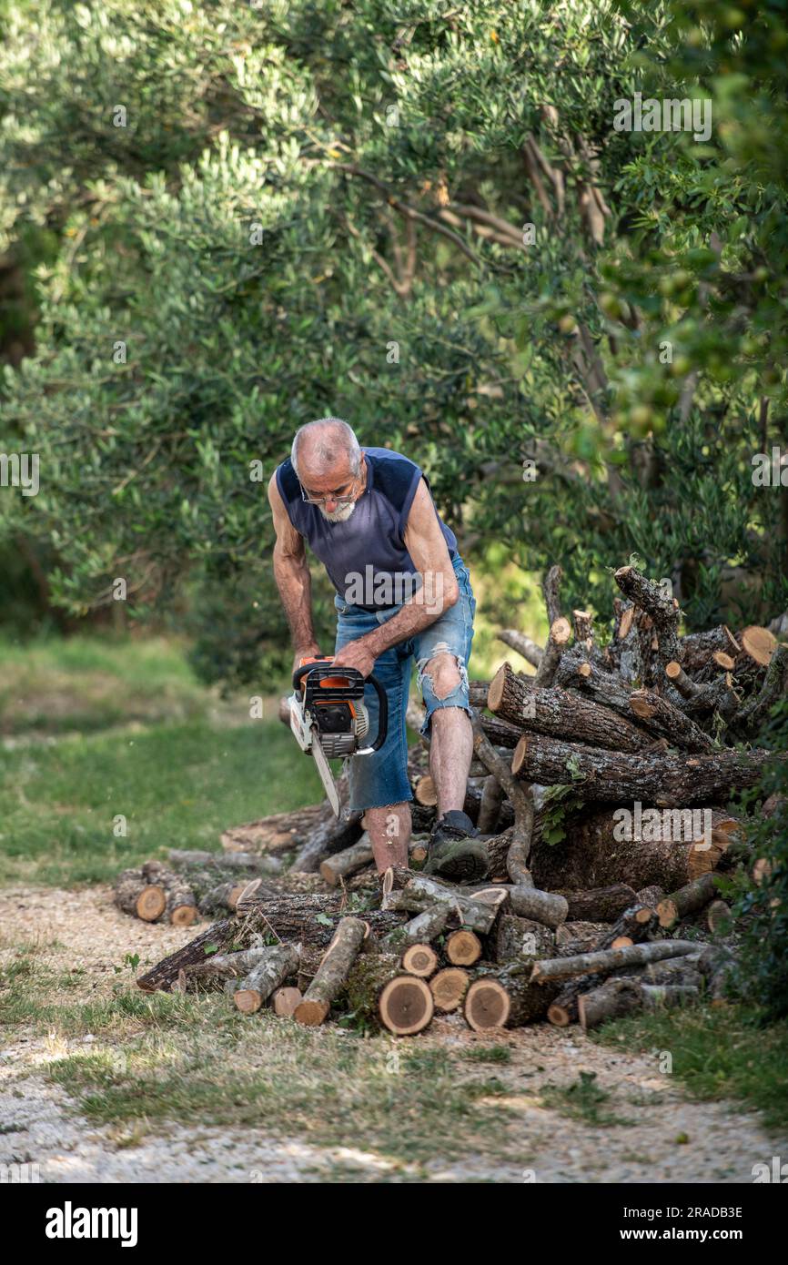 older man using a chainsaw to cut logs without wearing any personal ...