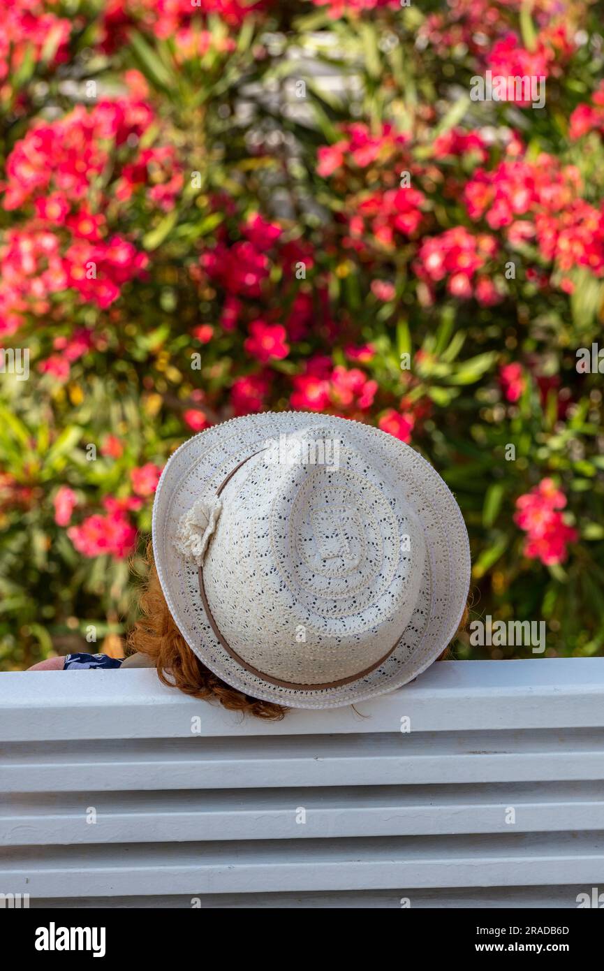 person sleeping on a park bench with head tilted back wearing a sun hat ...