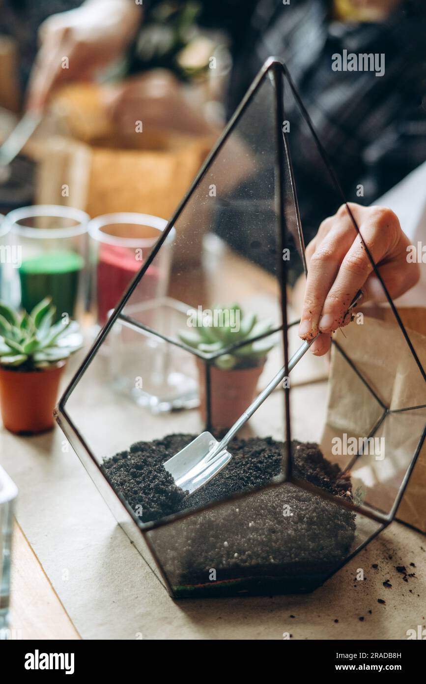 Preparing a soil for succulents. Home gardening. Florarium decoration ...