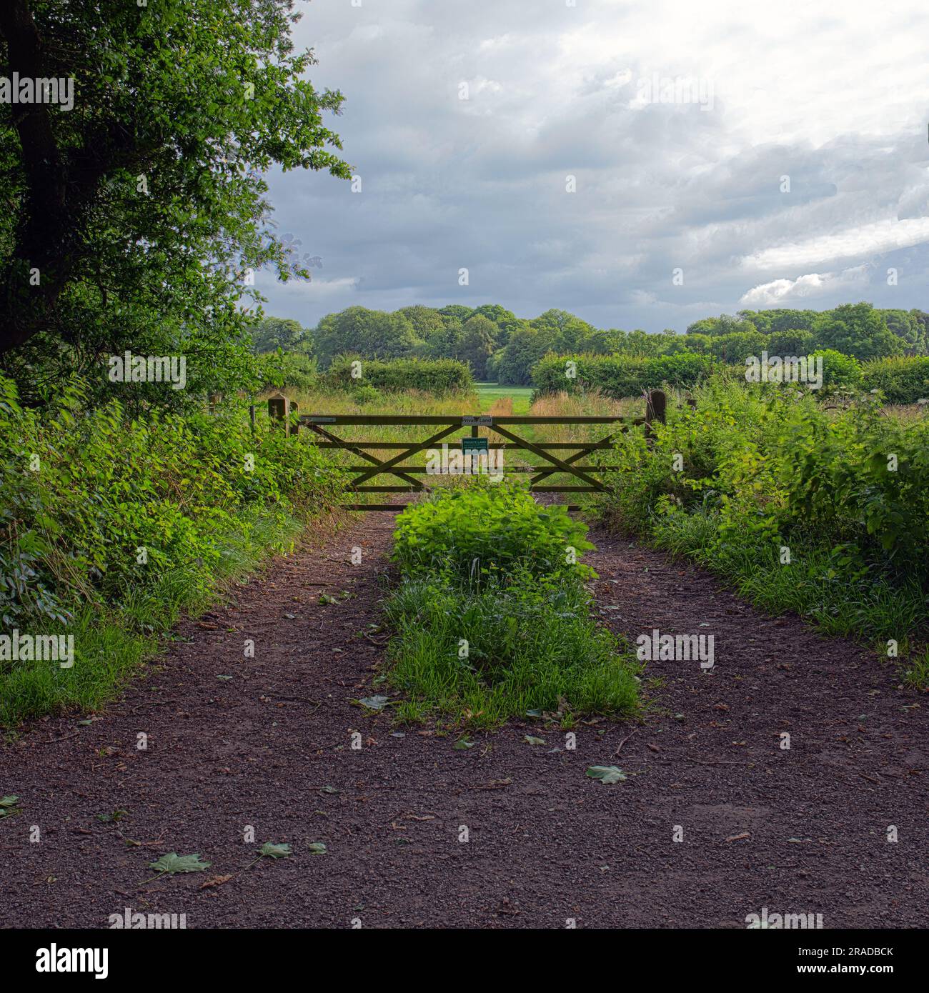 Closed gate blocking entrance to farmland in Cheshire UK Stock Photo ...