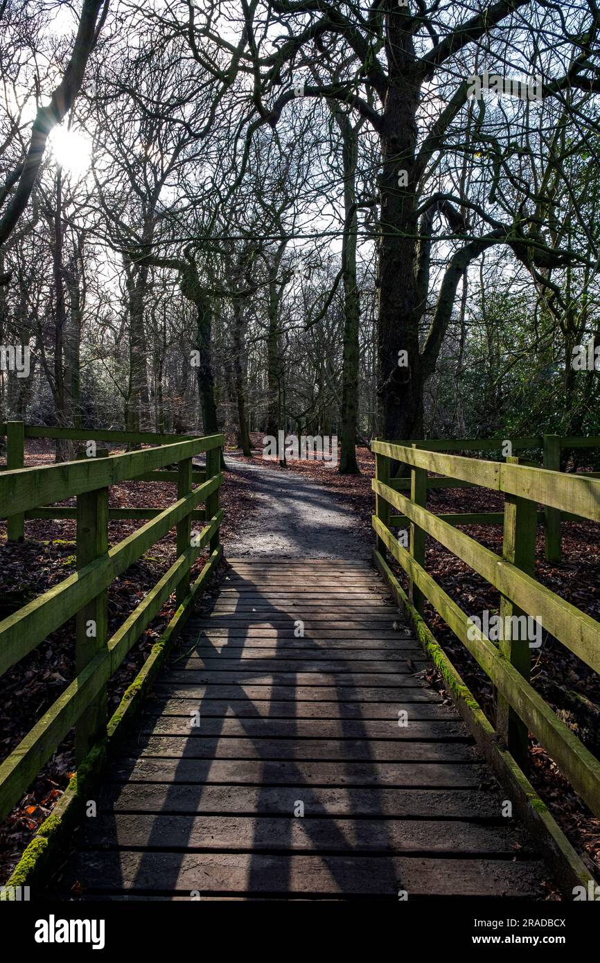 Backlit steam hi-res stock photography and images - Alamy