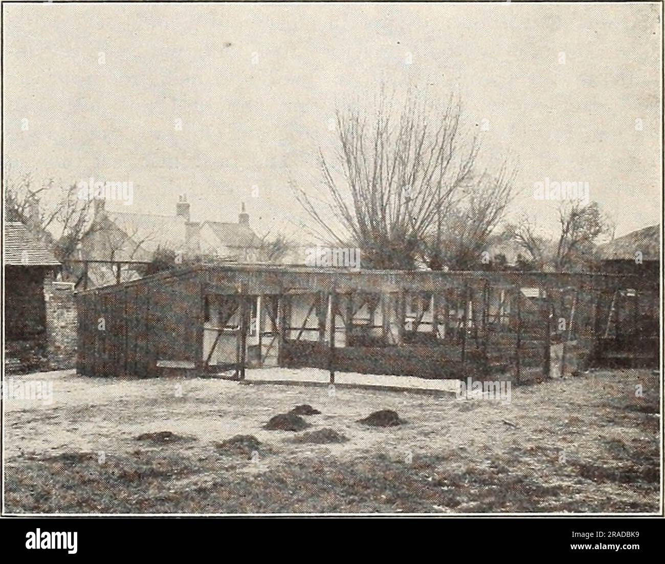 "Eggs and egg farms : Trustworthy information regarding the successful ...