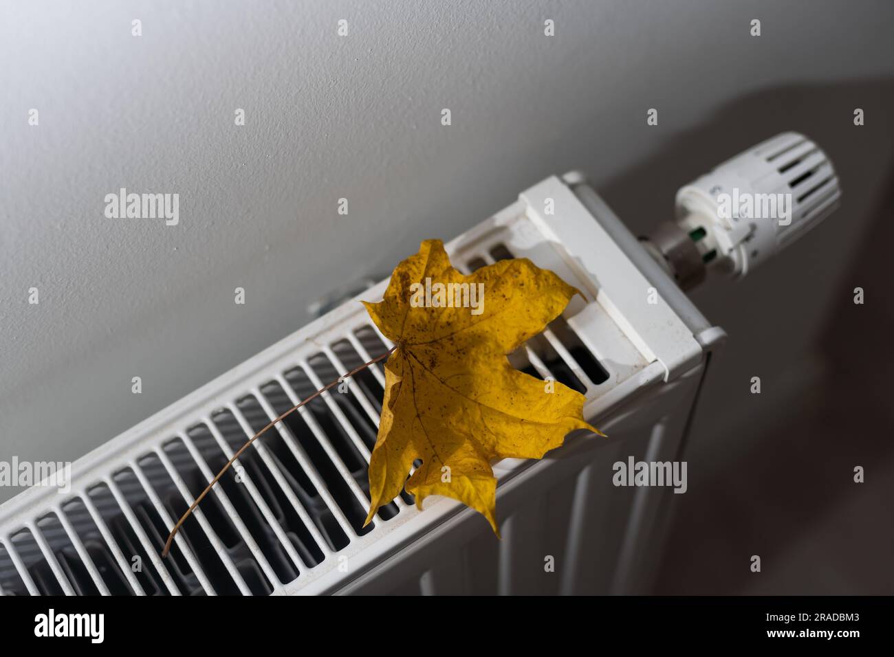 Heating battery with autumn leaf on white background. The concept of ...