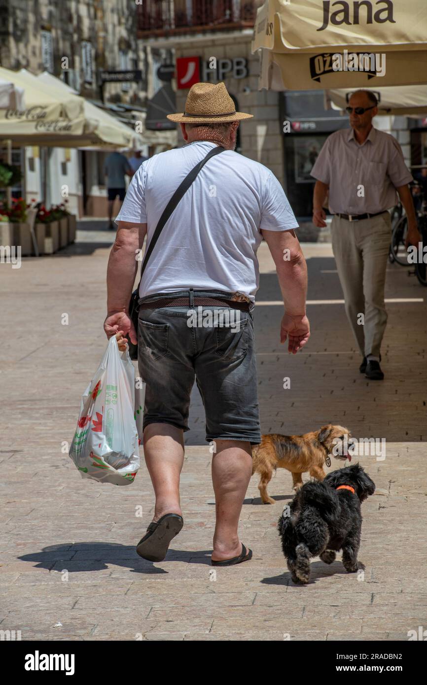 older overweight male walking two small terriers through the main ...