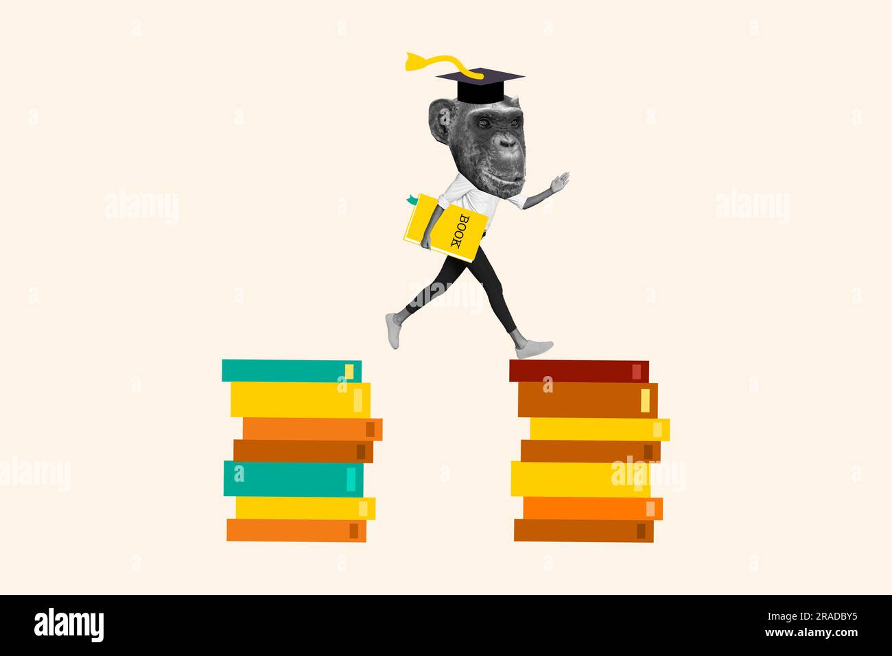 Collage picture of funky chimpanzee graduating university walking book ...