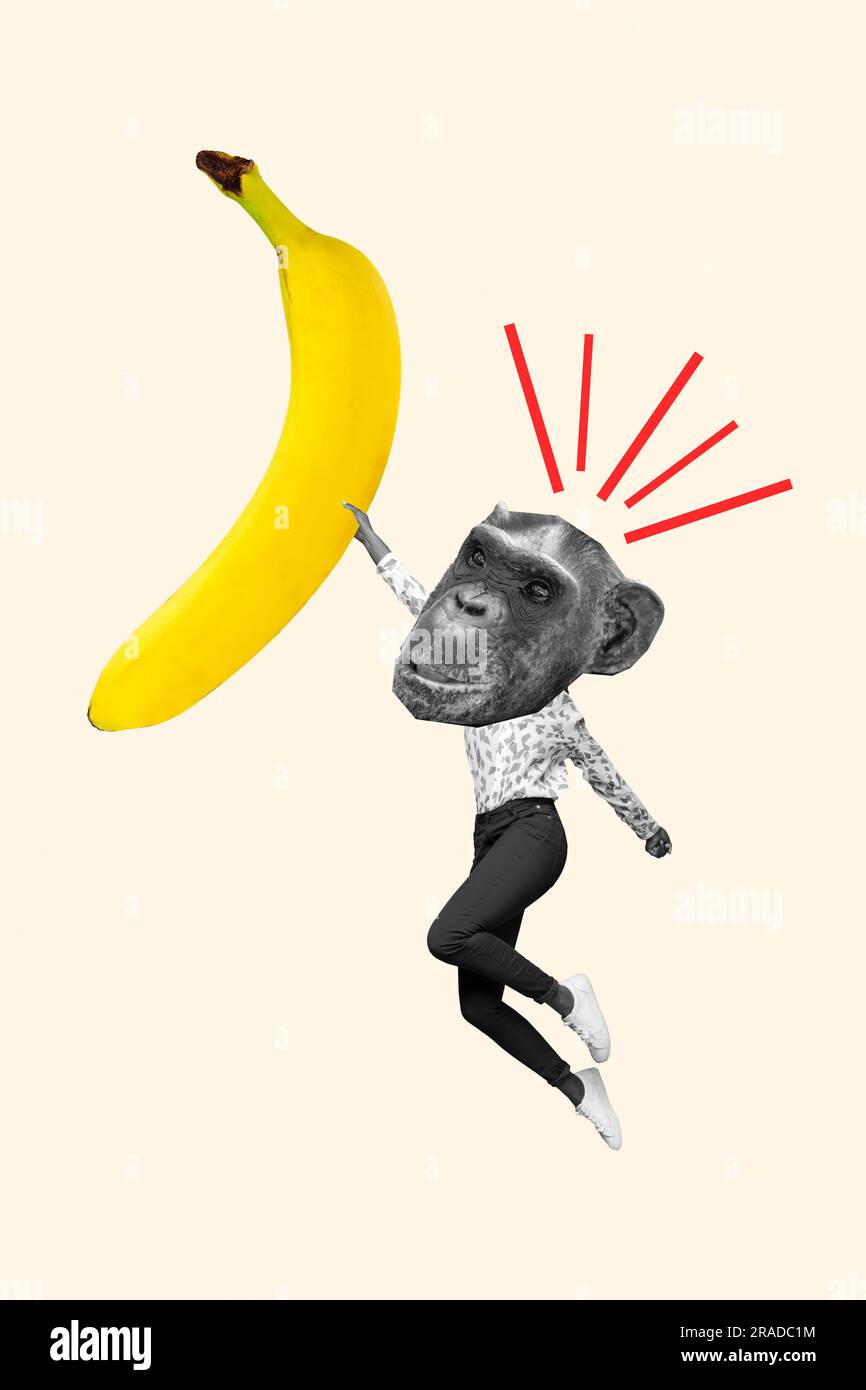 Photo cartoon sketch collage picture of funny monkey head lady catching ...