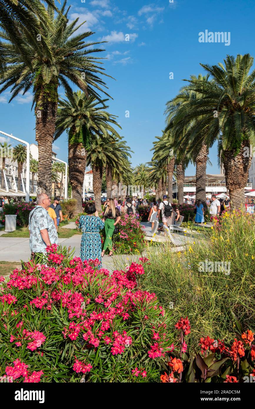 tourists enjoying the waterfront promenade at grad split in croatia ...